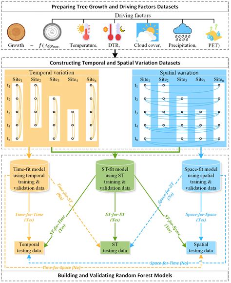 Journal Of Ecology Vol 113 No 7