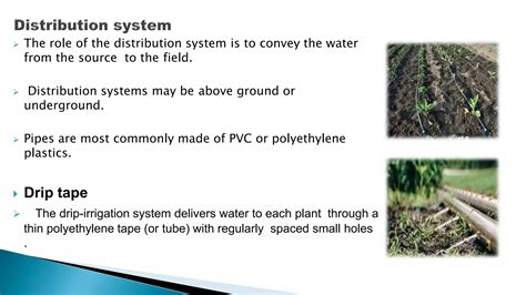Drip Irrigation Seminar Ppt100115pptx