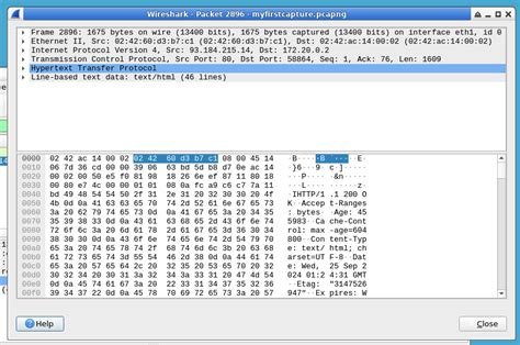 使用 Wireshark 进行网络分析 Labex