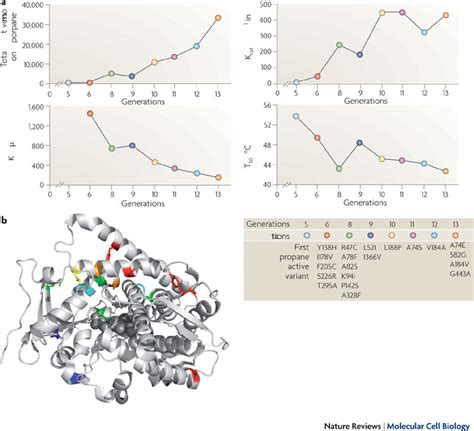Directed Evolution Of A Cytochrome P450 Propane Download Scientific Diagram