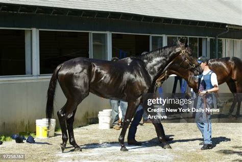 Rock Hard Ten Photos And Premium High Res Pictures Getty Images