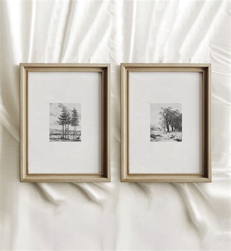 Vintage Etching Print Set Tree Sketch Art Forest Drawing MAILED ART PRINTS 9 Etsy