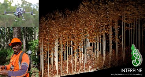 Operational Immersive Visualisation And Measurement Of Dense Point Cloud Data In Forest