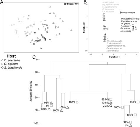 Non Metric Multidimensional Scaling A Canonical Discriminant