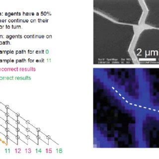 Network Design For SSP Reproduced From 20 A Overall Network Download Scientific Diagram