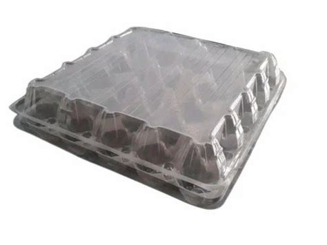 13x13x3inch Plastic Egg Blister Tray At ₹ 165piece Plastic Egg Tray