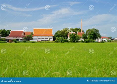 The Grass And The Temple Stock Image 56831035