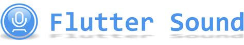 Flutter Sound Recorder And Player Example Flutter4u