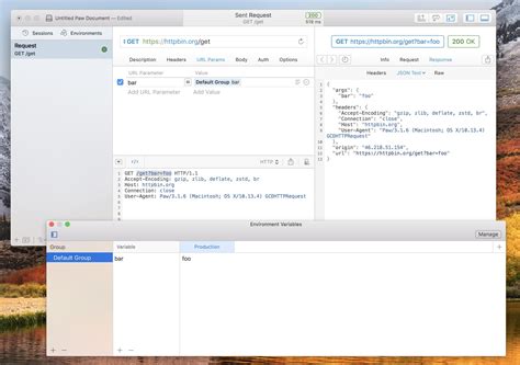 Paw App How To Use A Variable As A Url Parameter With Paw Api Tool