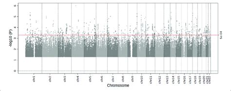 results of the stage 1 gwas meta analysis manhattan plot presenting