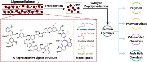 Bio‐renewable Polymers Based On Lignin‐derived Phenol Monomers