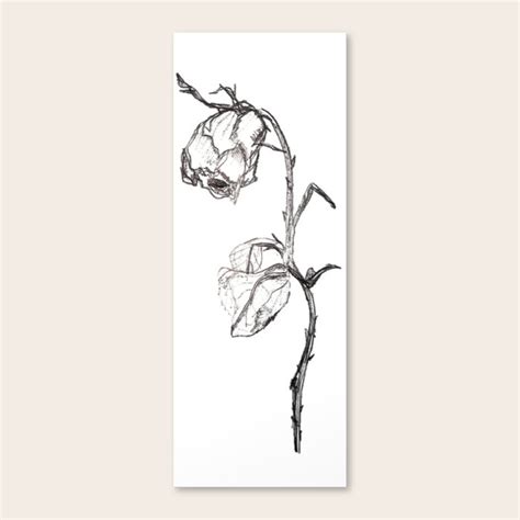 Dead Rose Drawing Dead Rose Drawing