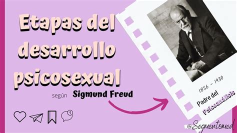 Resúmenes De Desarrollo Psicosexual Descarga Apuntes De Desarrollo