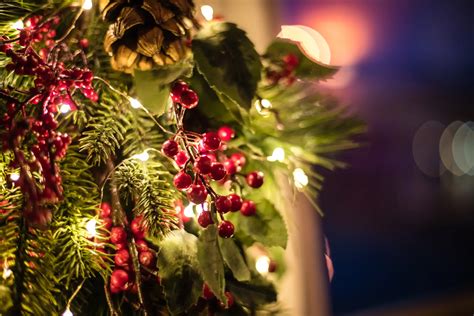 Caversham Princess Thames Rivercruise