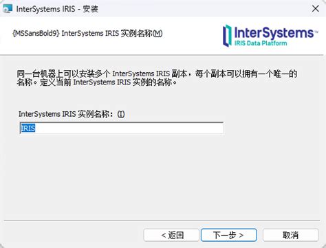 Cachém 数据库系统 Intersystems Iris 的 Windows 安装 Intersystems Developer