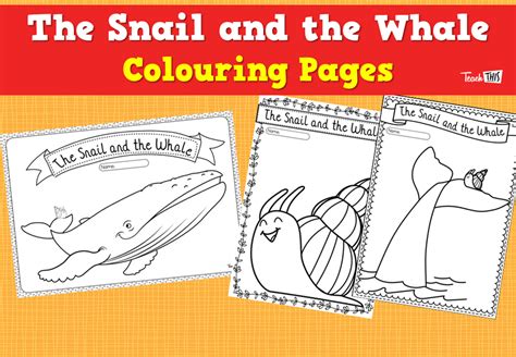 The Snail And The Whale Colouring Pages Teacher Resources And