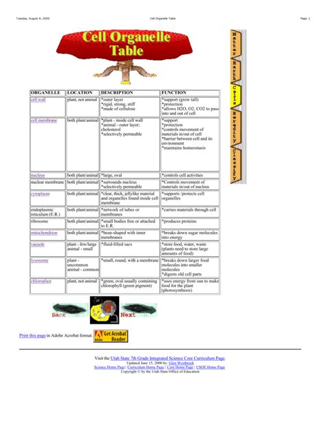 Cell Organelle Table