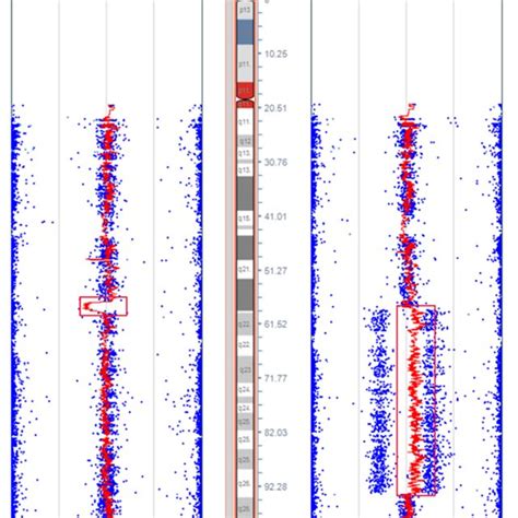 Illumina Snp Array Results For The Distal 15q Region A Probands
