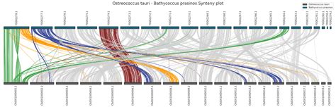 Functionalities — Busco Plot Py 002 Documentation