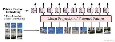 Vit结构详解（附pytorch代码） 物联沃 Iotword物联网