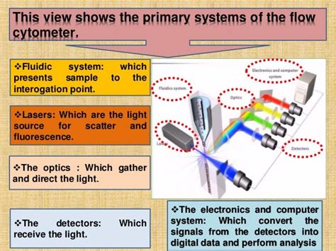 Flow Cytometry Technique