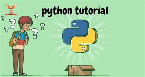 Học Sinh Mới Học Lập Trình Nên Chọn Lập Trình Python Hay C