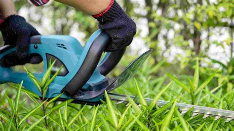 Edger Vs Trimmer Which One To Use For Your Lawn Skilledhub