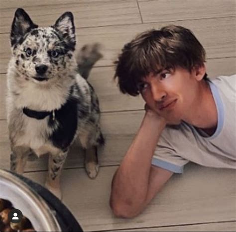 Albert Aretz Funny Flamingo Flamingoalbert Flamingo Pictures