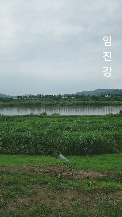 임진강 Youtube