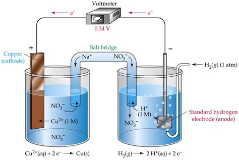 Draw A Labelled Diagram Of Electrolytic Cell