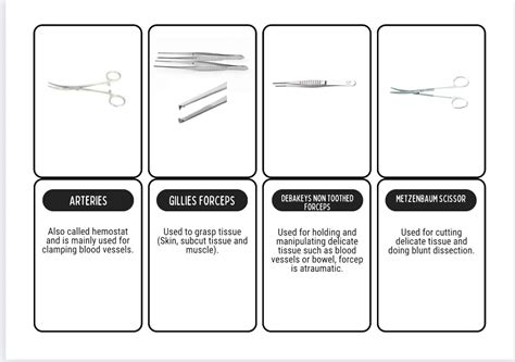 Basic Surgical Instruments Flashcards Pdf File Etsy