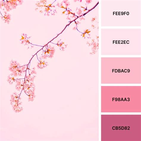 30 Inspiring Pink Color Palettes For Creative Minds Hipfonts