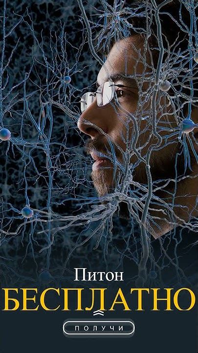 Курсы Python для начинающих Обучение Python Бесплатно Курсы Python