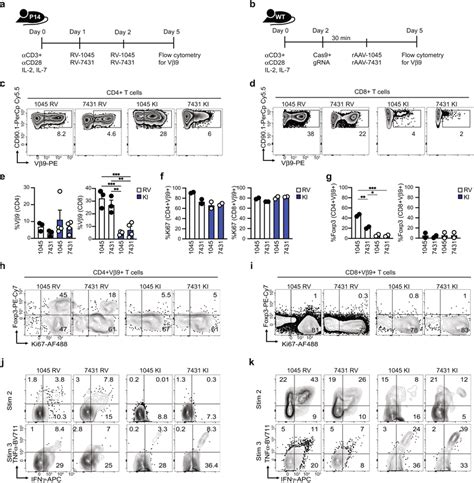 Targeting Tcrs To Trac Sustains Engineered T Cell Function And Obviates