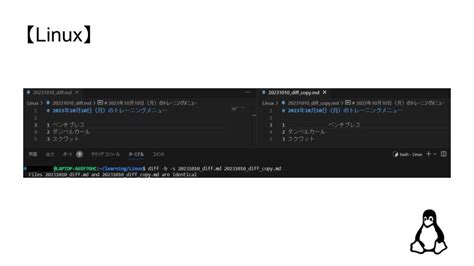 【linux】diffコマンドとは？使い方と便利なオプションを紹介 テックパンプ
