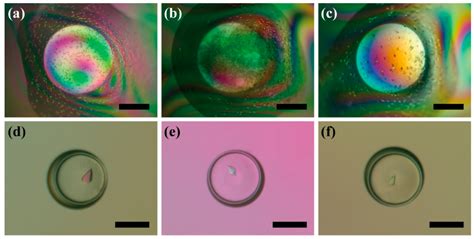 Micromachines Special Issue Droplet Microfluidics Techniques And Technologies
