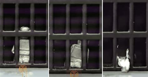 Shape Shifting Robots Capabilities Are Alarming People Scoop Upworthy