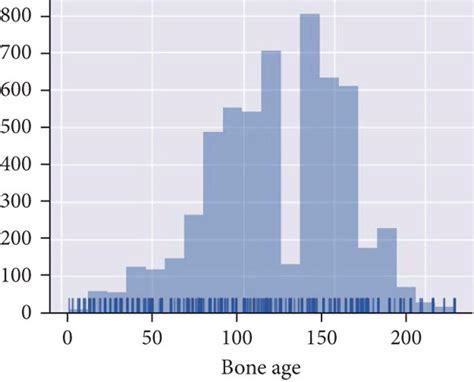 Bone Age Distribution Of A Full Dataset B Male And C Female
