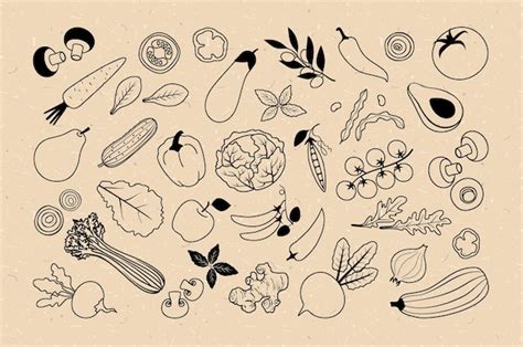 검은색 윤곽선이 있는 야채 세트 프리미엄 벡터