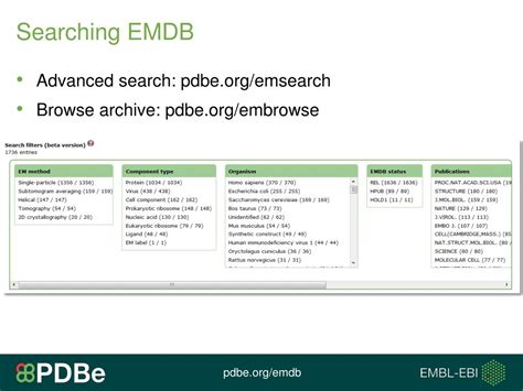 PPT EMDB And Beyond PowerPoint Presentation Free Download ID 2151569