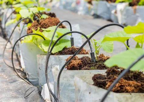 Exploring The Best Iot Use Cases By Industry Deepsea