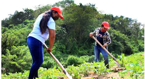 Mujeres Y Jóvenes En El Centro De La Innovación En Agricultura Cimmyt