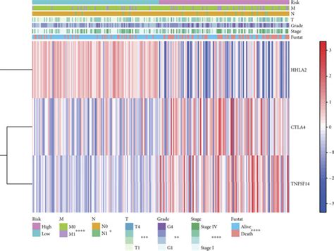 Construction Of The Systematic Prognostic Risk Model In Kirc A