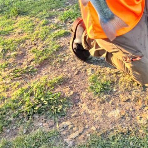 Morris Reservoir Fishing Reports🎣• Glendora Ca United States Fishing