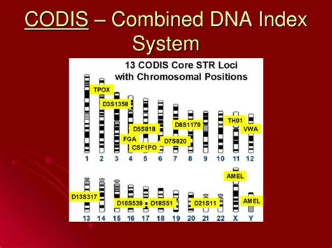 Combined Dna Index System