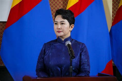 МОНГОЛ ИРГЭДИЙН БНСУ Д ЗОРЧИХ ВИЗНИЙ НӨХЦЛИЙГ ХӨНГӨВЧЛӨХ ТАЛААР ХАМТАРНА Show Mongolia Digital