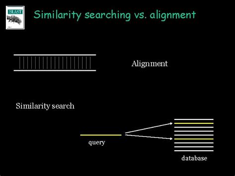 Bi 420 Introduction To Bioinformatics Sequence Alignment Gabor