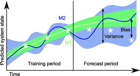 Possible Effects Of The Bias Variance Dilemma In Forecasting Both
