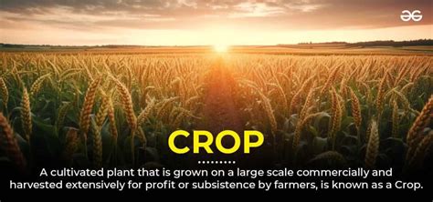 Improvement In Crop Yields Geeksforgeeks
