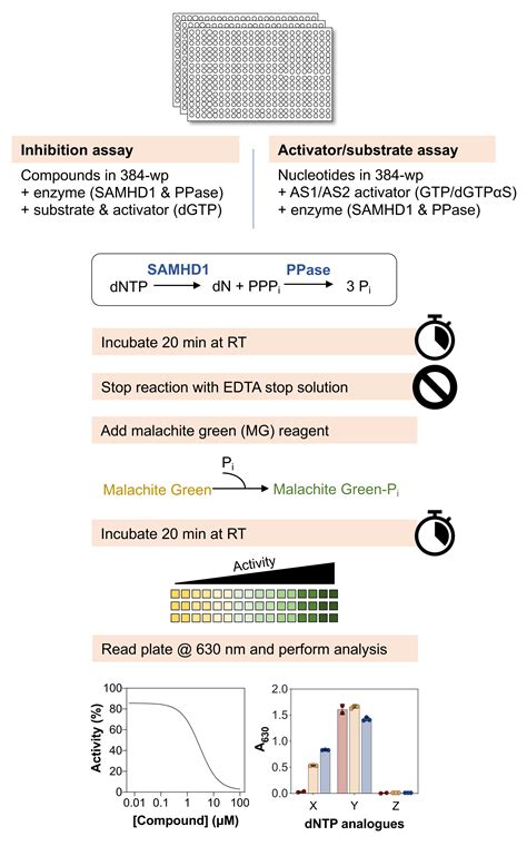 A High Throughput Enzyme Coupled Activity Assay To Probe Small Molecule Interaction With The